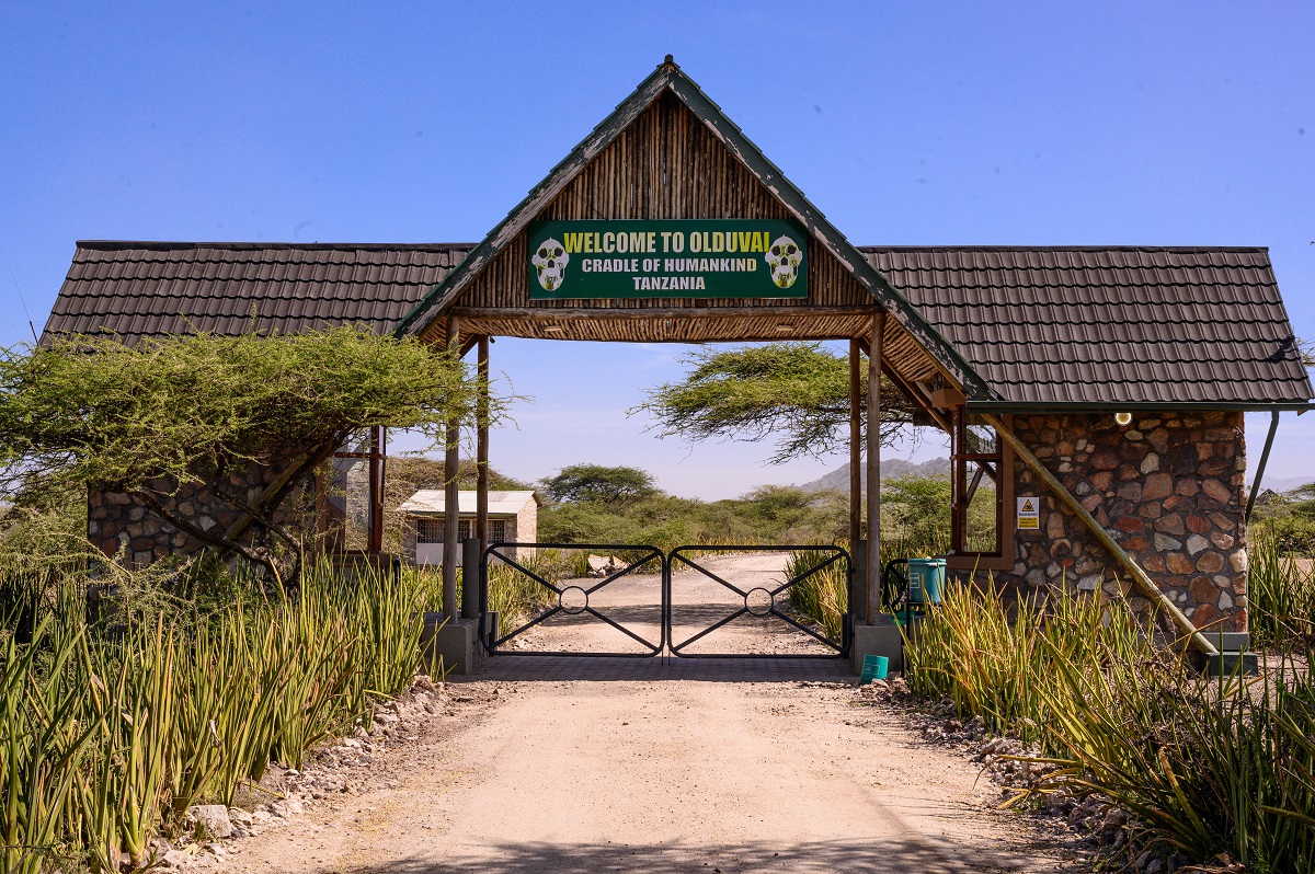 The New Olduvai Gorge Museum – Ngorongoro Conservation Area Authority ...